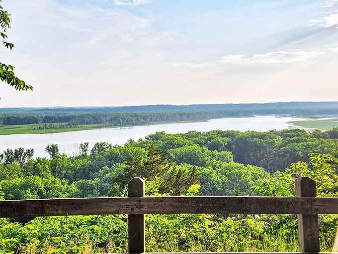Fifty shades of green create a lush tapestry of life along the riverbank, where every plant plays its ecological part.