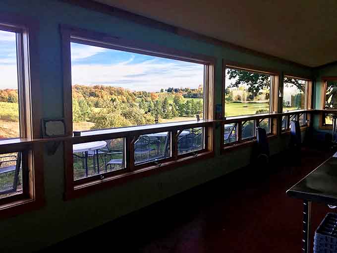 Mawby's tasting room offers panoramic autumn views that prove Michigan's fall colors pair perfectly with their award-winning sparkling wines.