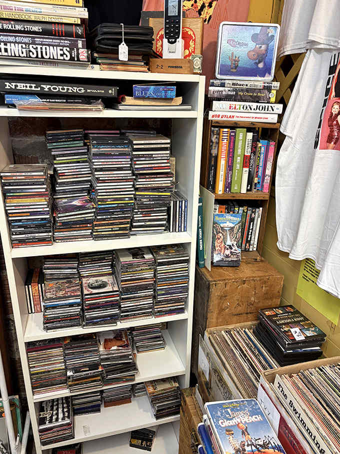 Media from another millennium! CDs, vinyl, and books create a pre-streaming entertainment paradise for analog enthusiasts.