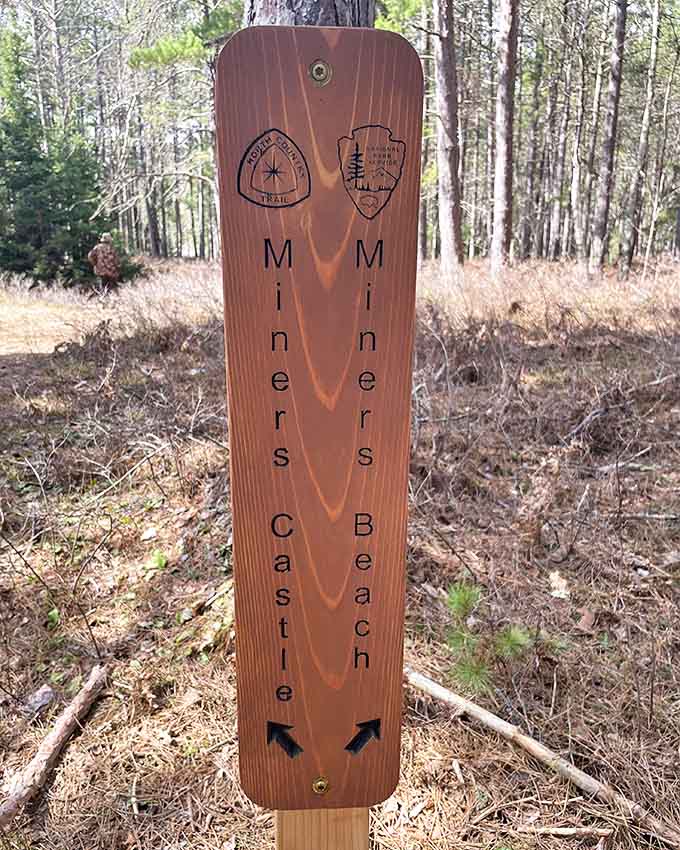 Trail markers pointing to adventure in both directions &ndash; the universal symbol of "you can't make a wrong choice here."