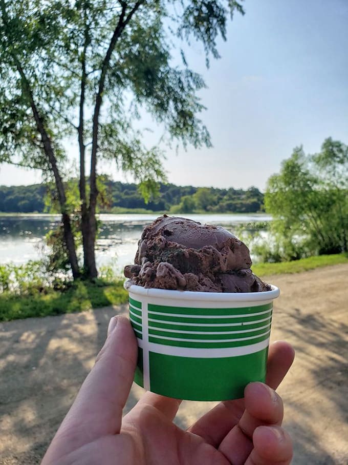 Lakeside dessert perfection &ndash; creamy mint ice cream with fudgy brownie chunks creates the ideal companion for waterfront contemplation.