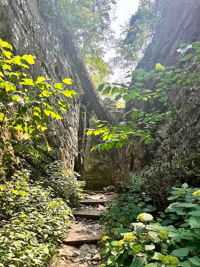 Nature's perfect hallway invites exploration between towering walls, with steps that feel like climbing into another dimension entirely.