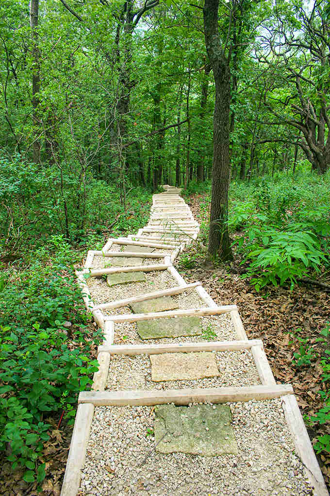 Each wooden step represents another layer of stress melting away as you descend deeper into Minnesota's natural therapy.