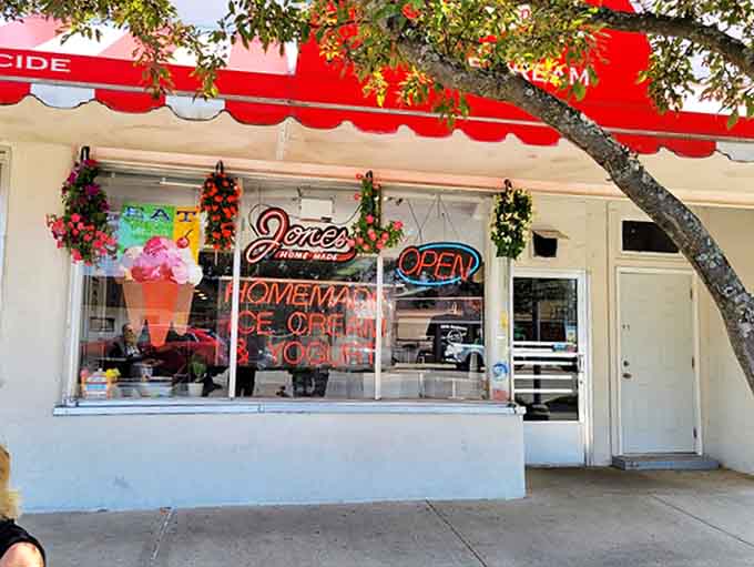 The neon sign glows like a lighthouse for sweet-toothed sailors navigating the streets of Baldwin.
