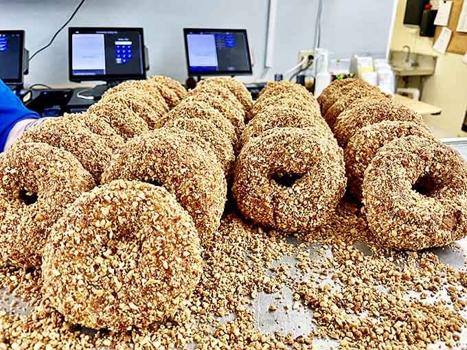 These nutty beauties offer the perfect crunch-to-softness ratio, with toppings generously applied by hands that understand donut artistry.