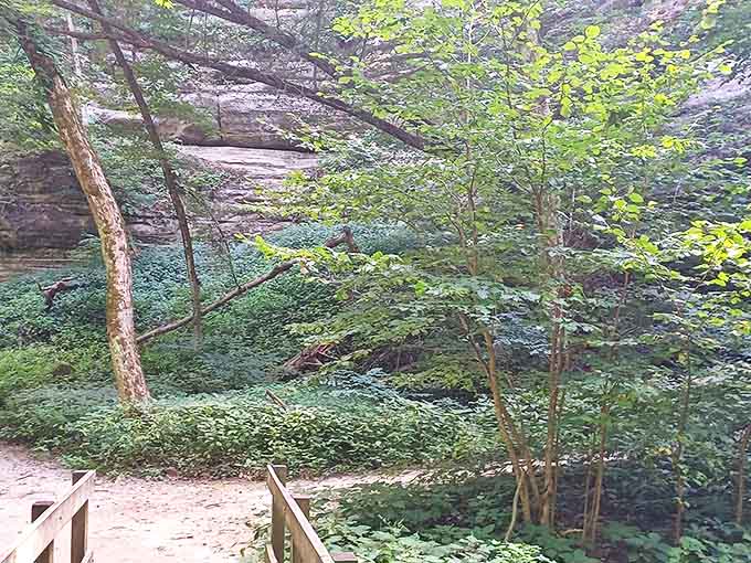 Even the canyon floor gets dressed up in green, proving that nature abhors a vacuum and loves a good carpet.