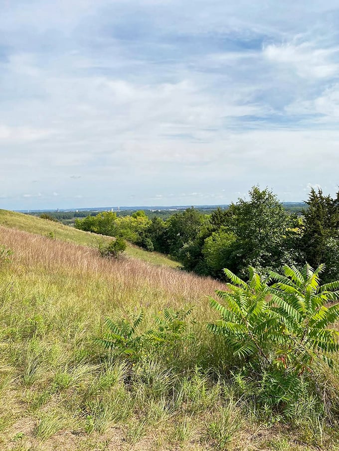 Prairie meets woodland at one of Riley Creek's scenic overlooks, offering expansive views that contrast with the intimate forest sections.