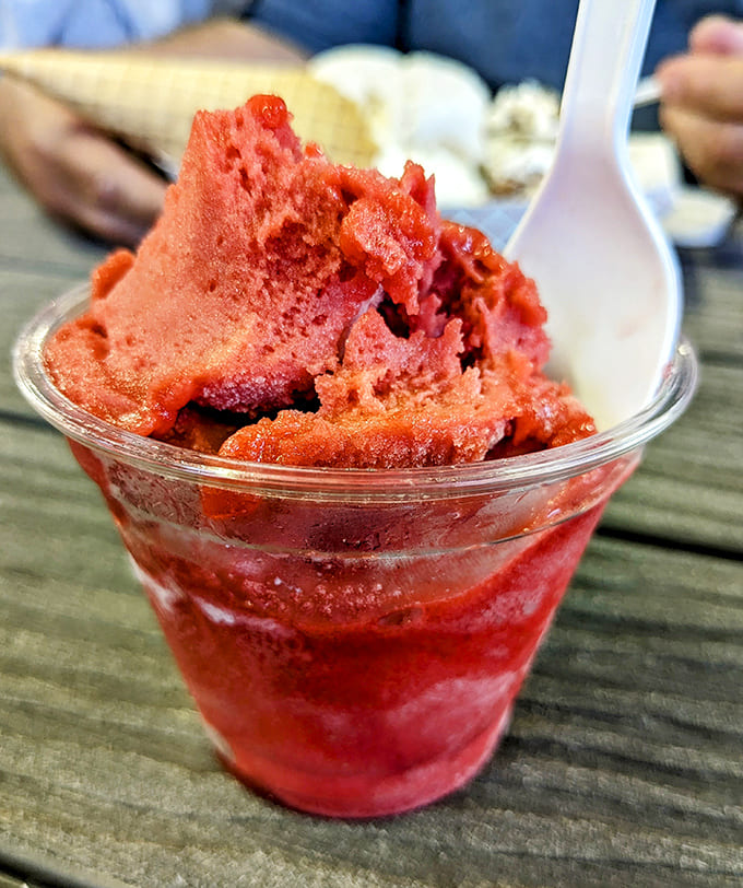 Even the dairy-free deserve decadence &ndash; raspberry sorbet that delivers bright, tangy freshness without a hint of compromise.