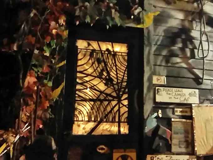 Warm light filters through intricate window designs, creating mysterious patterns that transform ordinary spaces into something magical.