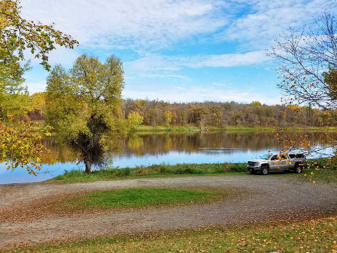 Autumn transforms the park's riverside road into a golden pathway that makes even the most basic sedan feel like a chariot.
