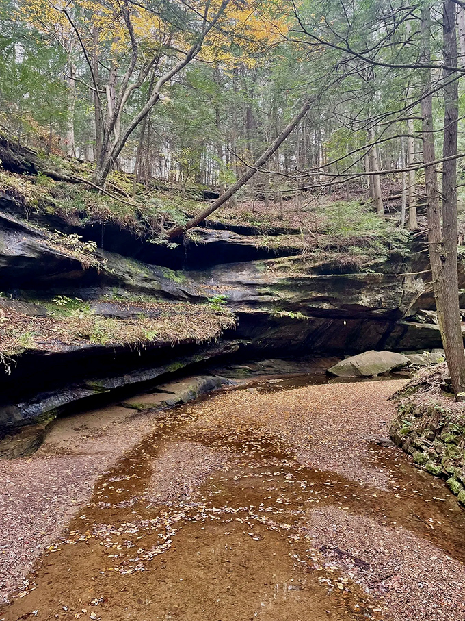 Layered sandstone tells Earth's autobiography &ndash; each stripe a chapter in a story that makes War and Peace seem brief.