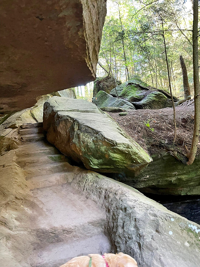 Nature's staircase invites exploration &ndash; each step carved by millennia of patient water and stubborn determination.