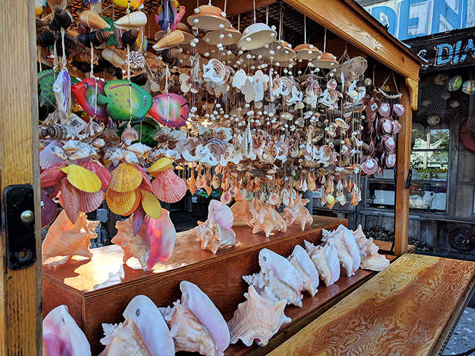 Shells: Nature's souvenirs transformed into wind chimes and decorations &ndash; a colorful reminder that the ocean is never far from your table at Pepe's.