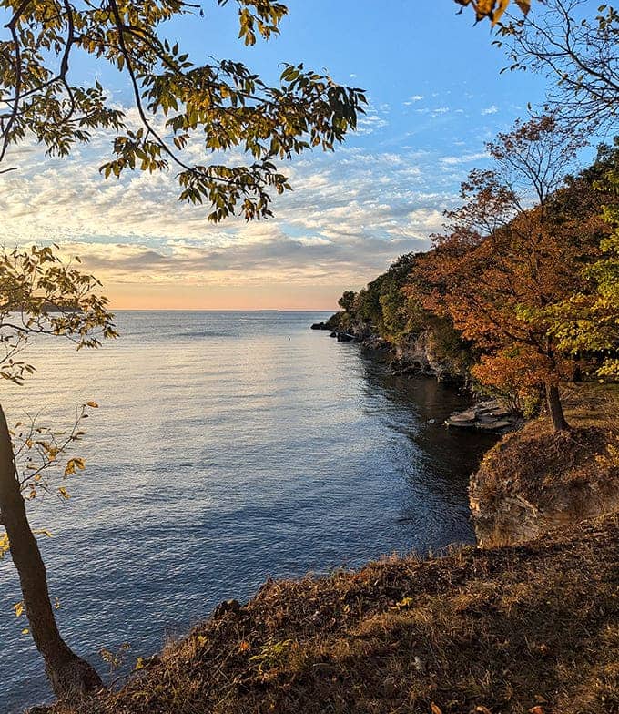 South Bass Island State Park offers serene shorelines where Lake Erie whispers secrets to those who pause to listen.