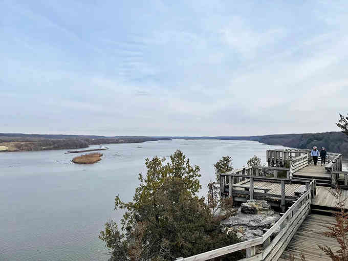 The observation deck offers panoramic views that make you feel like you're standing at the edge of something truly magnificent.