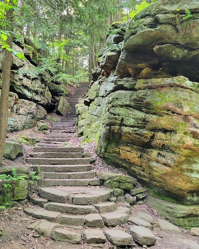 Towering trees reach skyward from atop massive rock formations, their roots somehow finding purchase in seemingly solid stone.