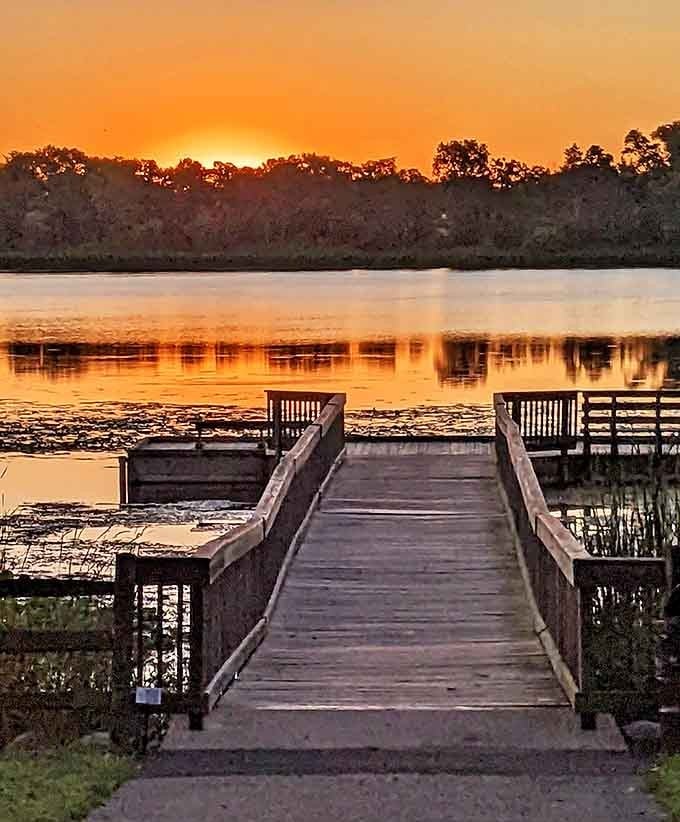 Sunset view: Mother Nature showing off her painting skills with a sunset that makes even the most dedicated indoor person consider evening walks.