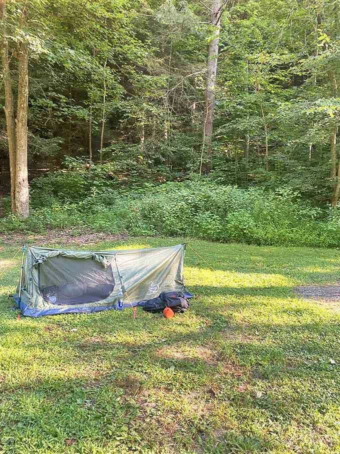 Home sweet temporary home! This minimalist campsite proves you don't need much to experience woodland luxury.