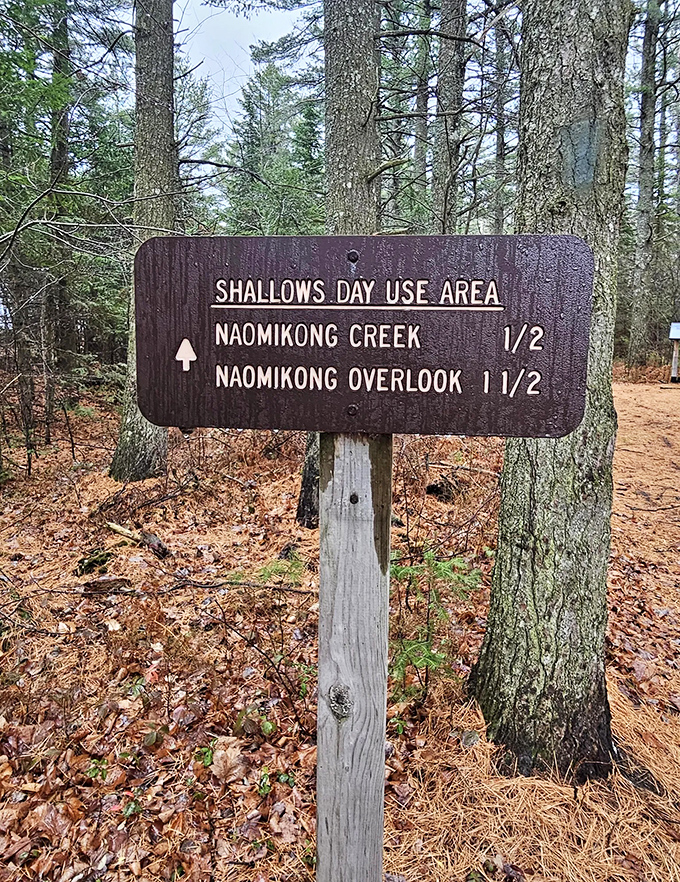 The trail sign promises adventure in multiple directions &ndash; like a choose-your-own-ending book where all options lead to wonder.