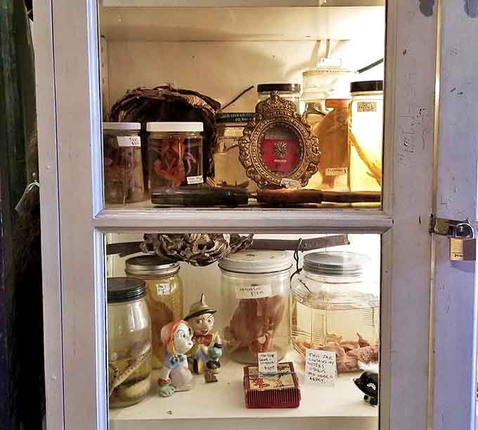 Various items: Pinocchio and friends keep watch over preserved specimens &ndash; childhood innocence meets scientific curiosity in this delightfully jarring juxtaposition.