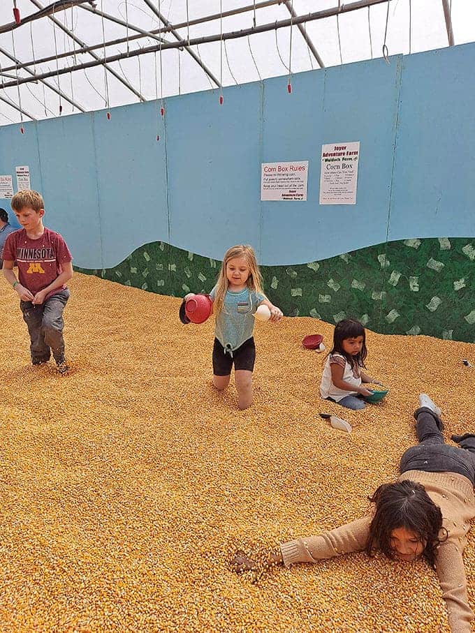 Kids diving into the corn box discover that playing in grain is surprisingly fun, like a beach without the sand-in-everything problem.