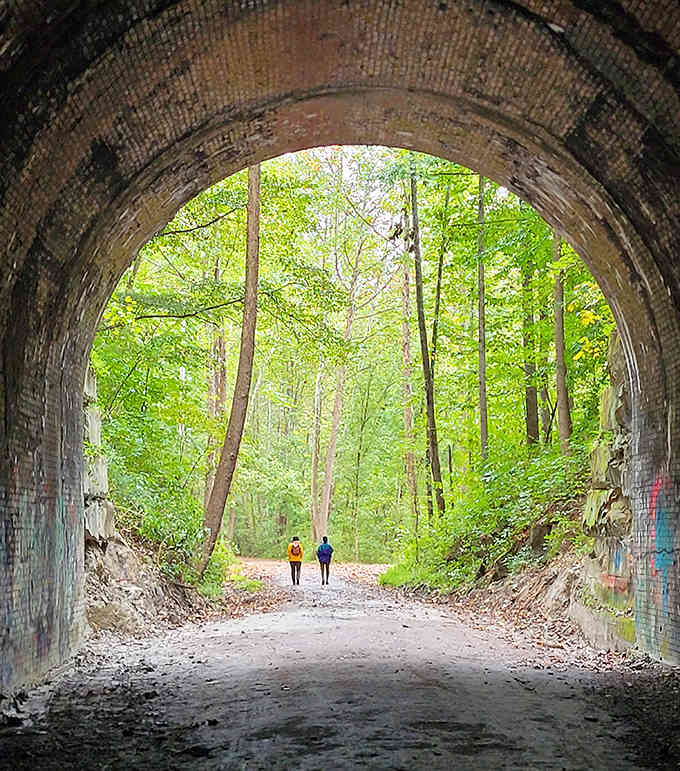Nature slowly reclaims the abandoned railway tunnel, with trees standing guard like patient sentinels of time.