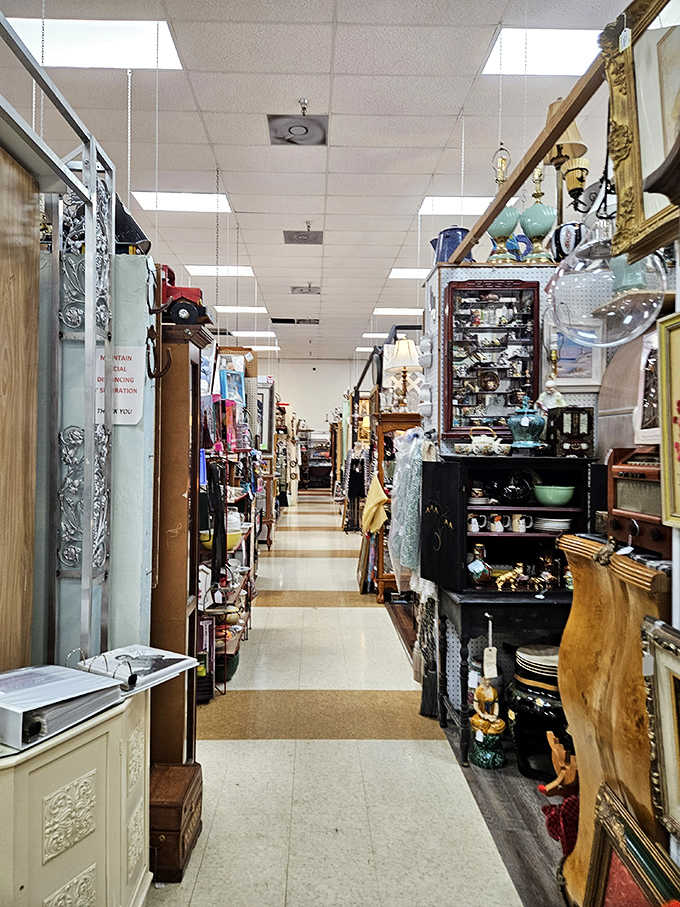 Aisles that stretch like roads to the past, where every booth is a different neighborhood in the city of Nostalgia.