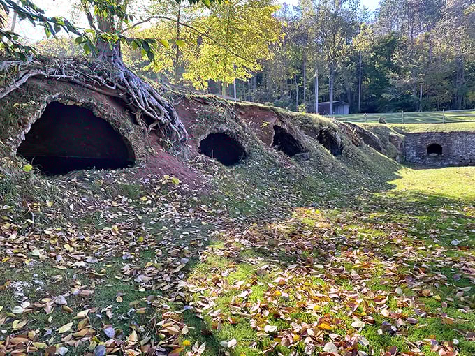 Woodland passage: Fallen leaves carpet the path through Cherry Valley, where industrial history and natural beauty create an unexpected harmony.