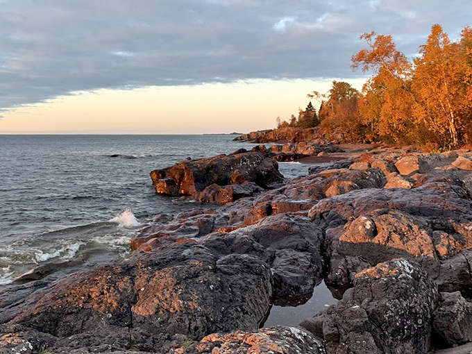 Sunset paints the rocky shoreline in warm golden hues, transforming ordinary stone into nature's own light show – no tickets required.