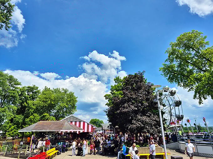 A bustling crowd enjoys a rare public day at Stricker's Grove, the park's limited availability making each visit feel like a special occasion.