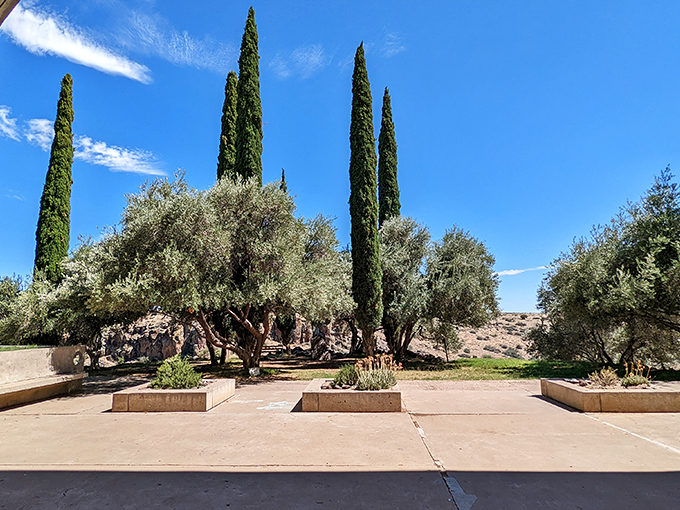 Cypress trees stand like sentinels in the courtyard, providing rare desert shade and Mediterranean vibes in the Arizona heat.