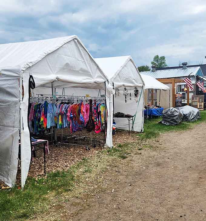 Vehicles and shoppers navigate the grassy marketplace, where paintings lean against easels and furniture awaits new homes under the watchful trees.