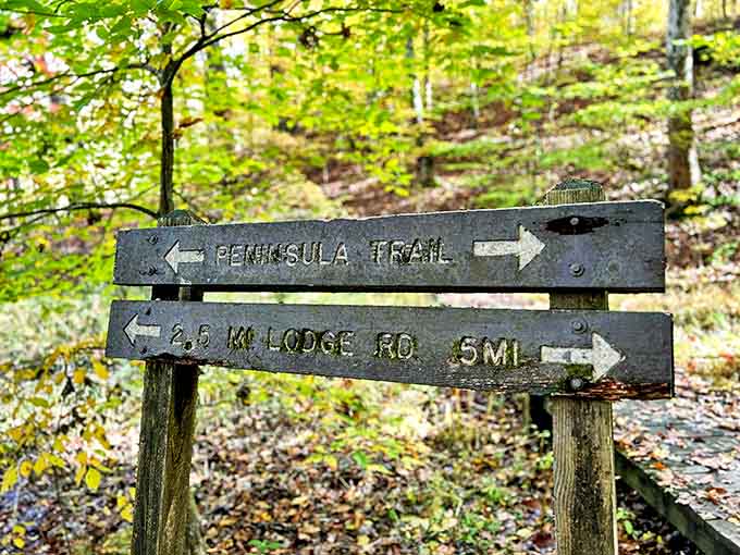 Trail markers point the way through the forest labyrinth &ndash; follow them or create your own adventure, just remember how to get back!
