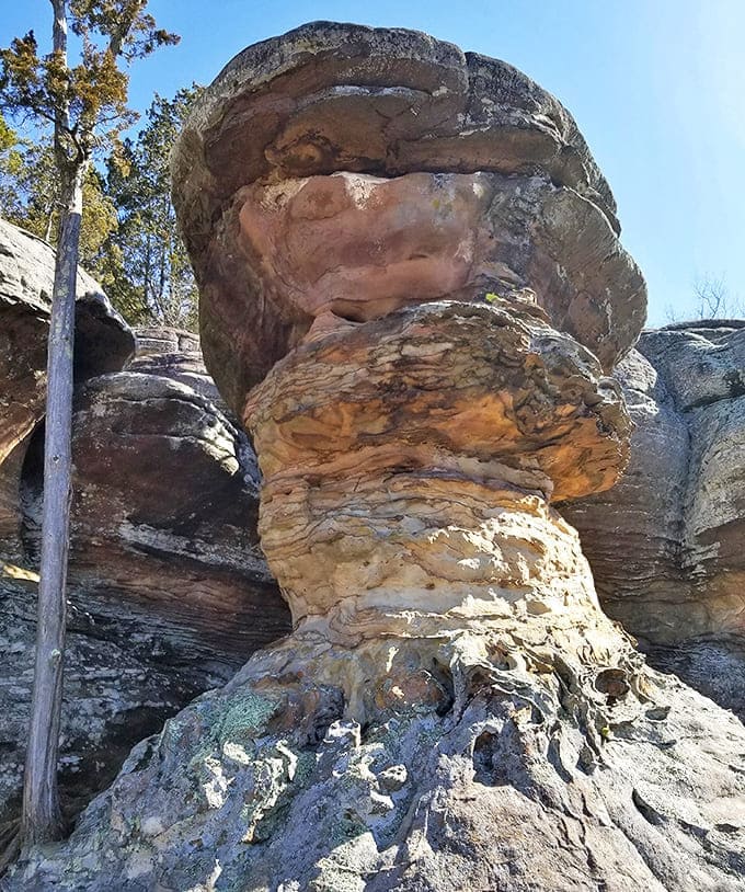 This mushroom-shaped formation defies gravity with its top-heavy silhouette, nature's own balancing act perfected over centuries.