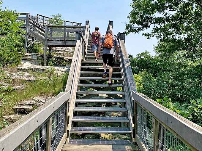 Adventurers climb wooden stairs toward breathtaking vistas, each step building anticipation for the reveal waiting at the summit.