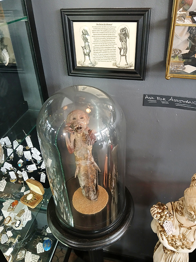 Homunculus: This bizarre little creature under glass looks like it escaped from a medieval alchemist's laboratory or your weirdest nightmare.