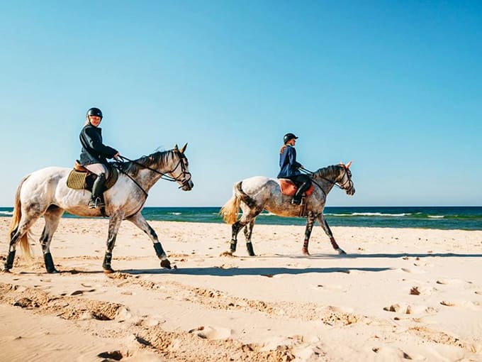 Equestrian adventures add a touch of romance to beach excursions, with guided horseback rides offering unique perspectives of the shoreline's natural beauty.