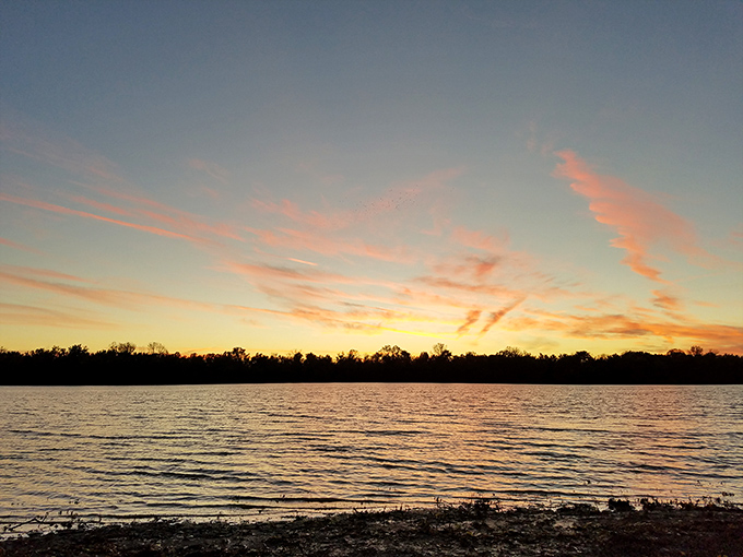 Sunset paints the water with impossible colors, turning an ordinary Illinois evening into a moment of extraordinary beauty.