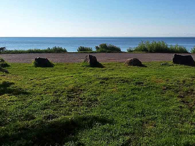 Under Minnesota's vast sky, this solitary tree stands sentinel over a picnic table waiting for your afternoon sandwiches.
