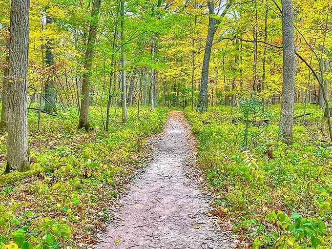 This unassuming trail promises more plot twists and character development than your favorite Netflix series, with much better scenery.