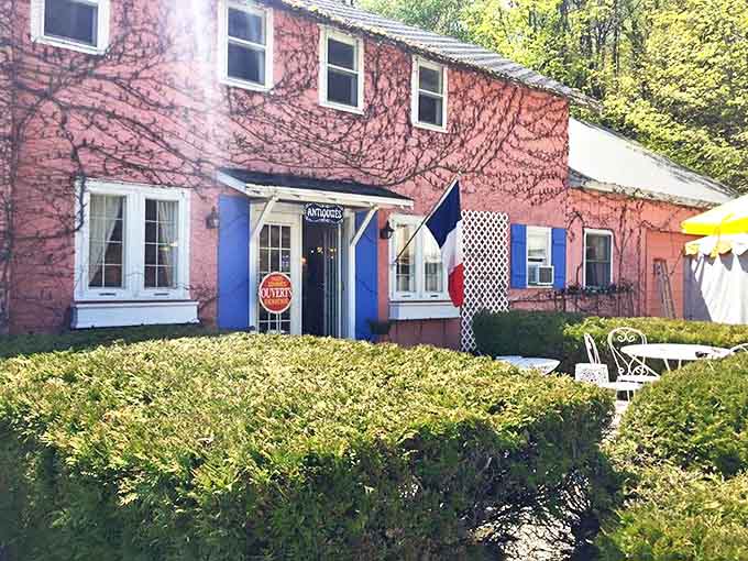 The exterior view reveals a building where nature and architecture have reached a beautiful compromise, with ivy embracing rather than conquering.