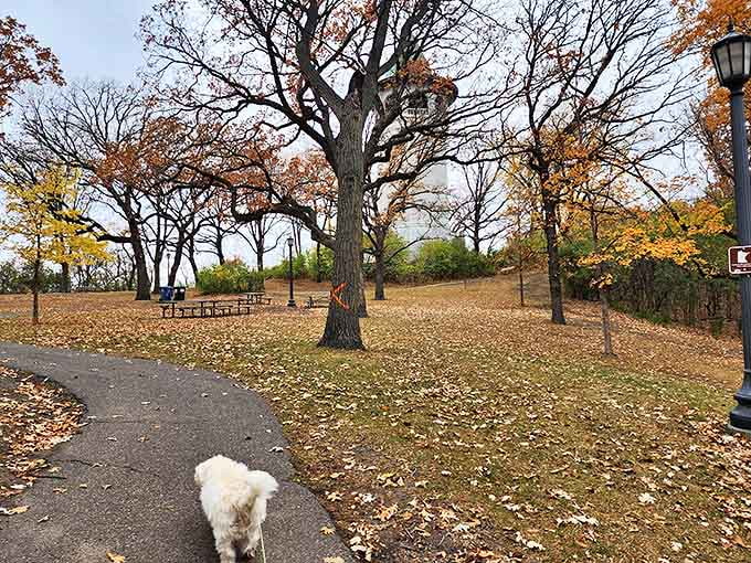 Even four-legged friends appreciate the tower's park setting, where fallen leaves create a crunchy carpet for afternoon walks.