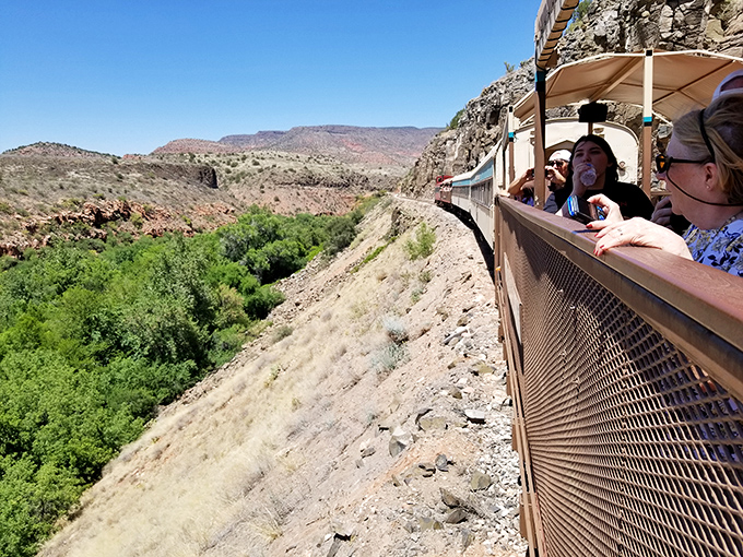 "Look, over there!" becomes everyone's favorite phrase as passengers lean into the experience, cameras ready for nature's next surprise.