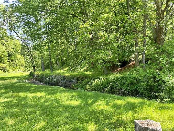 Stone foundations peek through the undergrowth, whispering stories of structures long gone but not forgotten in this industrial time capsule.