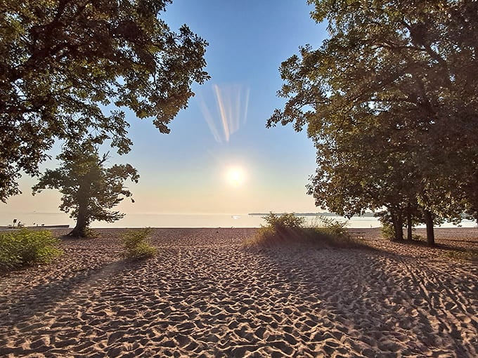 Crystal-clear water meets rocky shoreline in a combination that looks like nature showing off, and honestly, who can blame it for being a little proud?
