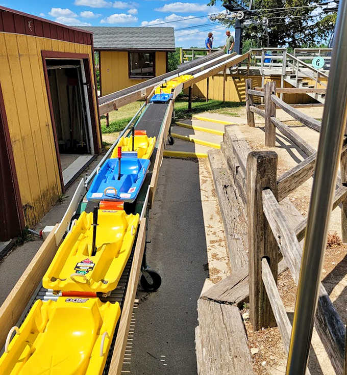 The sled staging area buzzes with anticipation as riders prepare for their gravity-powered adventure down the mountainside.