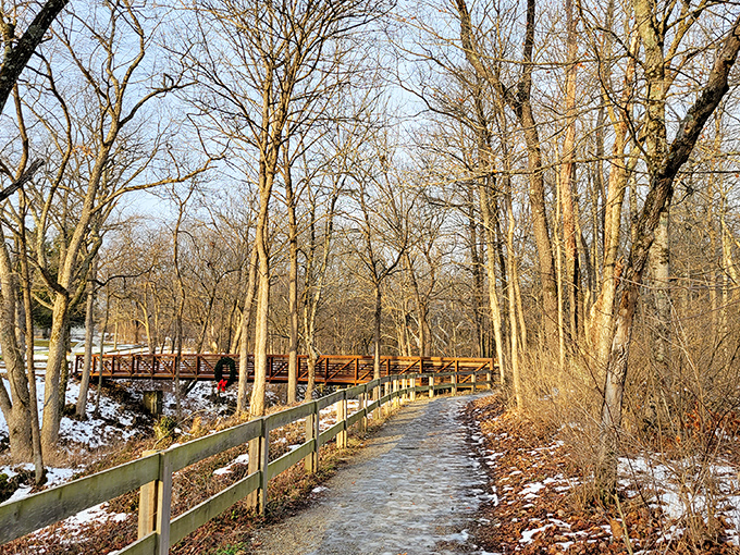 Winter transforms the reserve into a serene wonderland where every footstep writes a temporary story in the pristine snow.