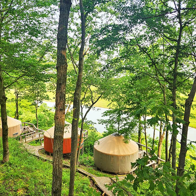 Luxury yurts nestled among trees offer glamping with a conservation twist &ndash; fall asleep to distant animal calls instead of traffic noise.
