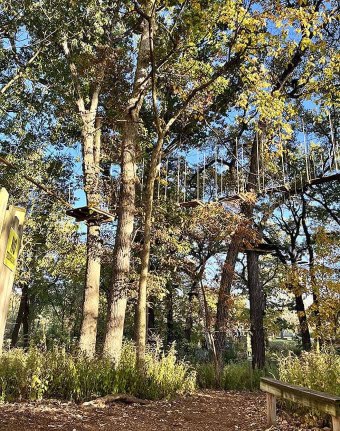 The aerial course challenges participants with obstacles that look deceptively simple from the ground, much like assembling IKEA furniture or parallel parking.