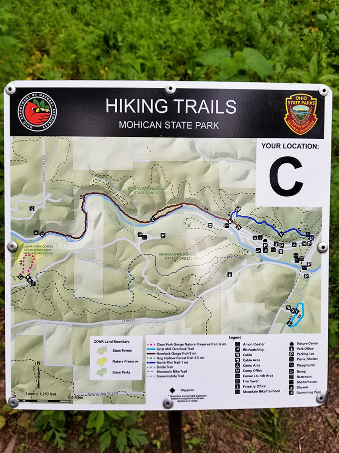 The trail map promises adventure with every marked path, though the real treasures are often found in the unmarked moments between destinations.